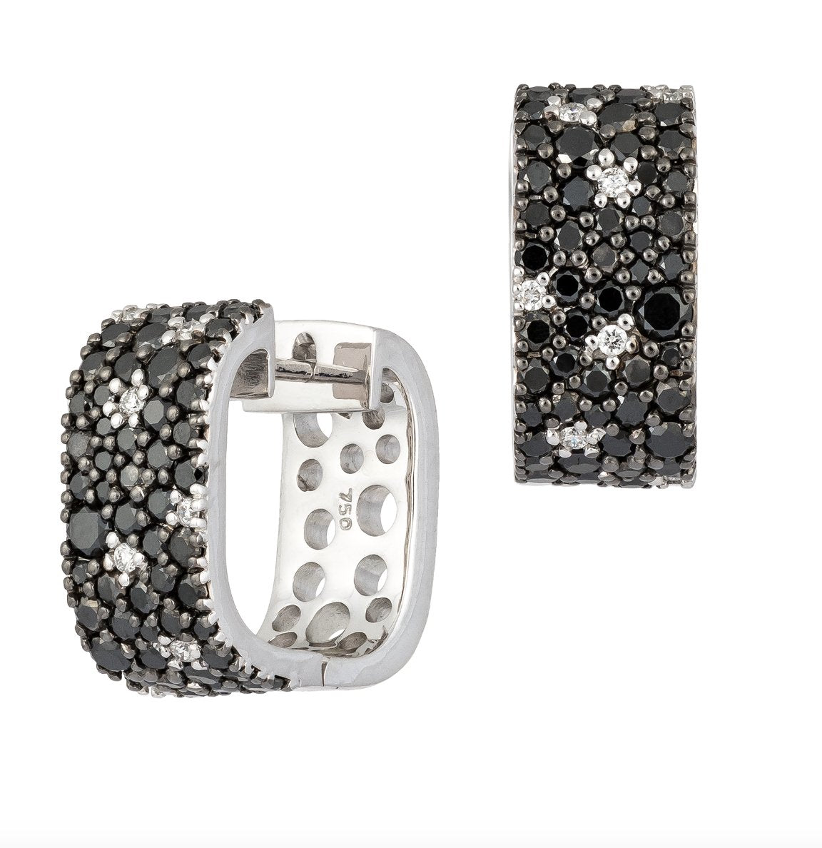 Black Diamond Earrings | Raphana Jewellery